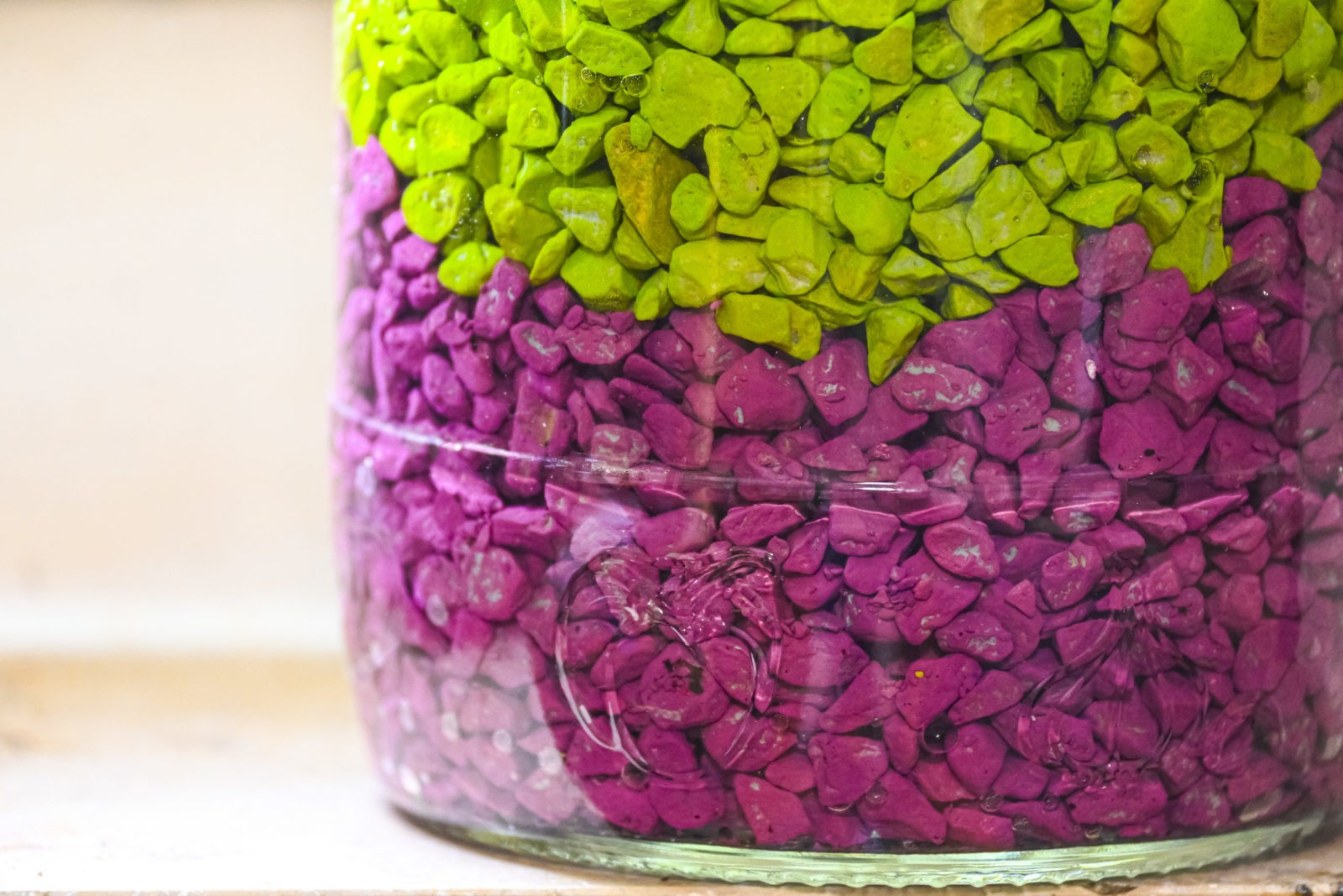 Colomi - Orchideenhobby.de